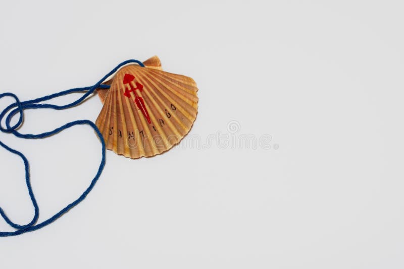 PilgrimÂ´s Shell in a Blue Cord on White Background with Space for Copy ...