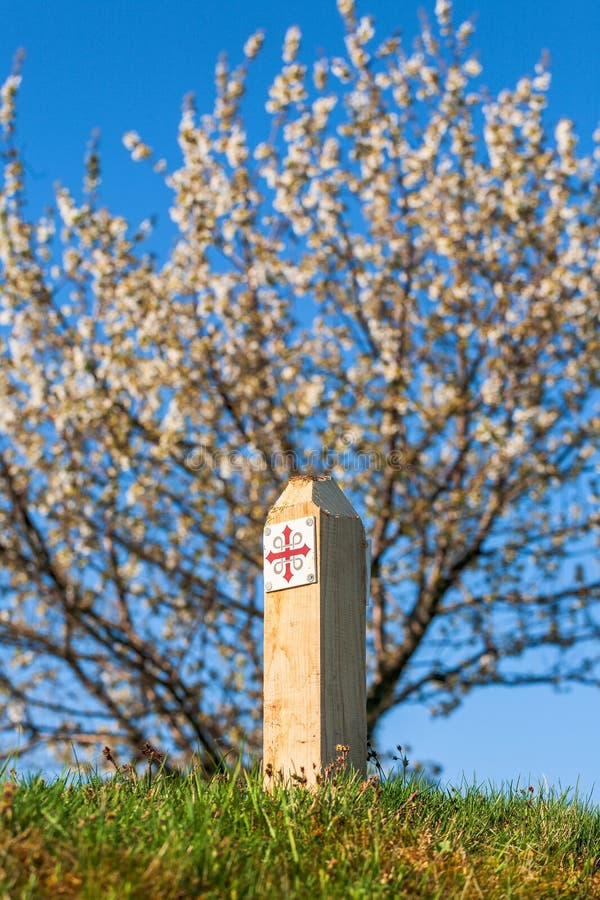 Pilgrim Way Sign at a Flowering Cherry Tree Stock Photo - Image of ...