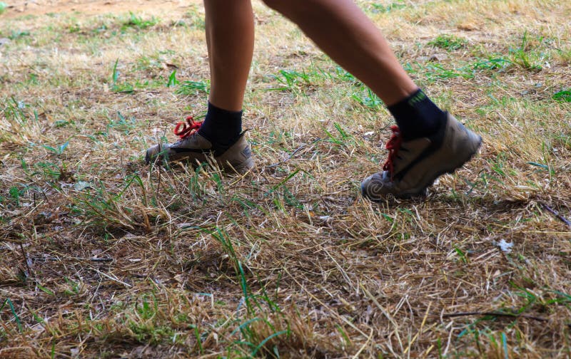 Pilgrimns Along the Way of St. James Editorial Stock Image - Image of ...
