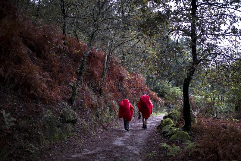 Pilgrims Walk through the Fall Forest on the Way of St. James or Camino ...