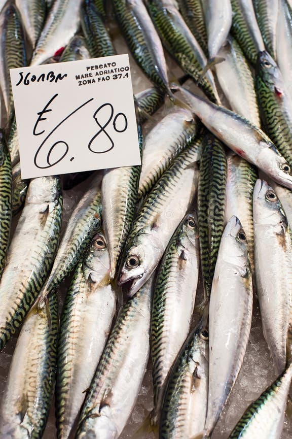 Pilha da cavala imagem de stock. Imagem de prata, refrigerador - 31368481