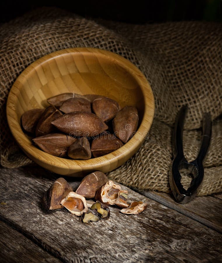 Roasted pili nuts stock image. Image of roasted, view - 53353015