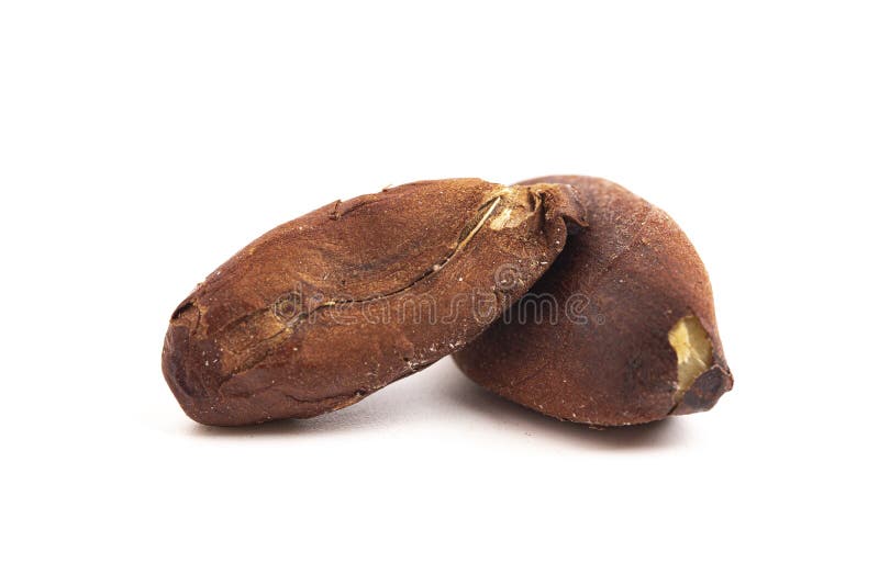 Pili Nuts from the Philippines Isolated on White Background Stock Photo ...