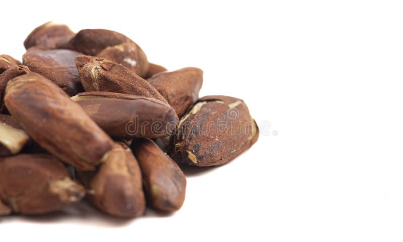 Pili Nuts from the Philippines Isolated on White Background Stock Image ...