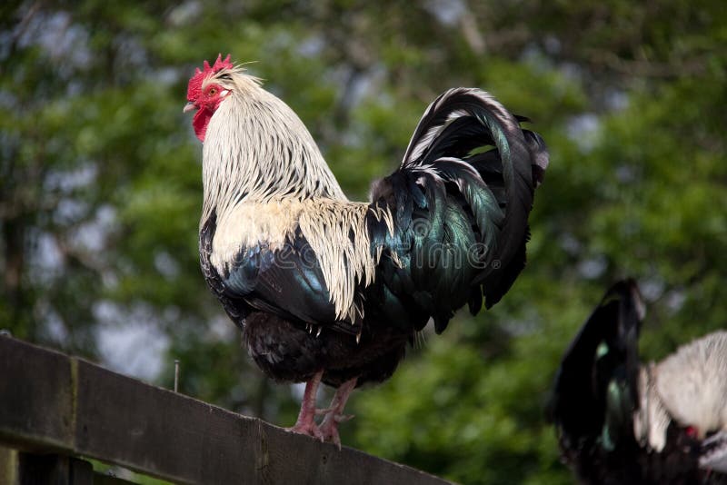 Pili Palas Butterfly Farm stock photo. Image of isle - 14817258
