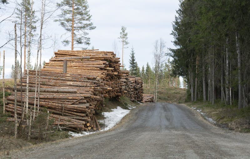 Piling Coniferous Trees Stock Photos - Free & Royalty-Free Stock Photos ...