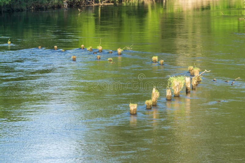 Pilings on the Green River stock photo. Image of wooden - 73139586