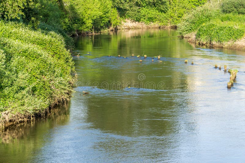 Piling in Green River 2 stock image. Image of reflection - 151014835
