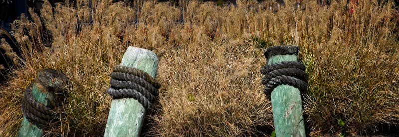 Dock Pilings Rope Stock Photos - Free & Royalty-Free Stock Photos from ...