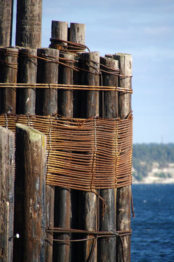 Pilings at the Pier stock image. Image of scenic, dock - 10335259