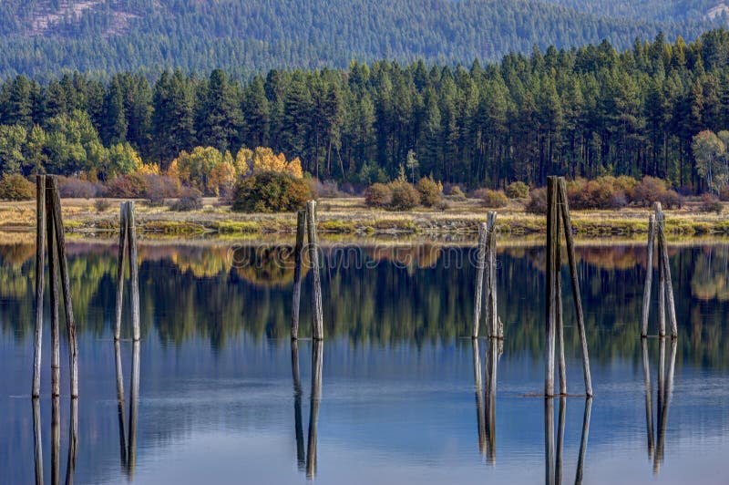 Pilings in the river. stock image. Image of water, landscape - 60603223