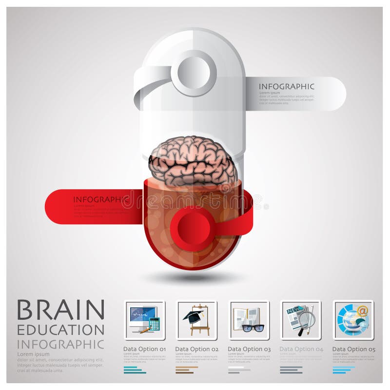 Pill Capsule Brain Education and Learning Infographic Stock Vector ...
