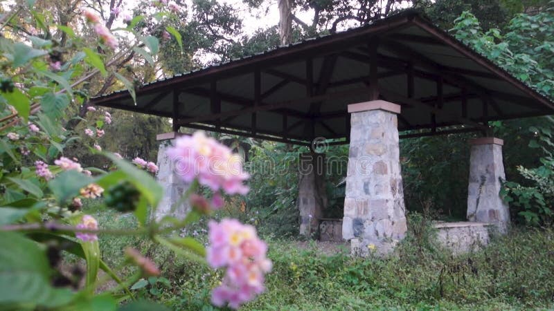 Pillar Based Canopy Shelters in an Outdoor Park. Dehradun, India Stock ...