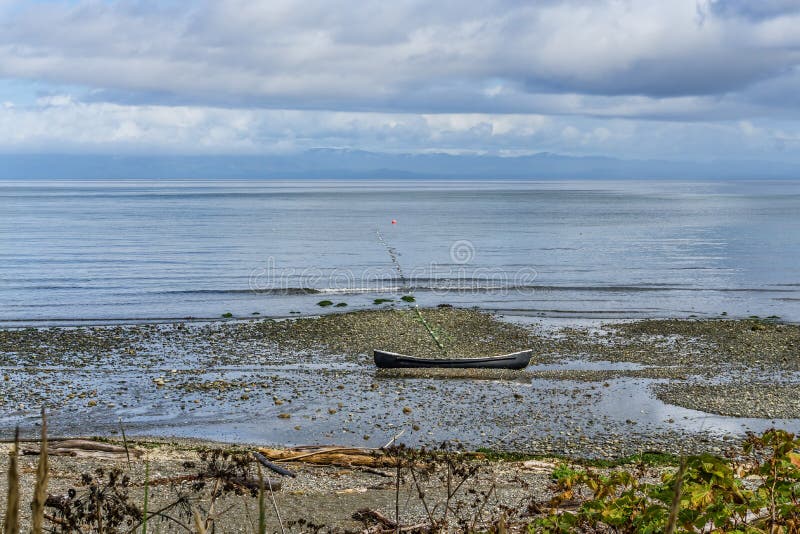 Pillar Point Shoreline stock photo. Image of state, landscape - 232188824