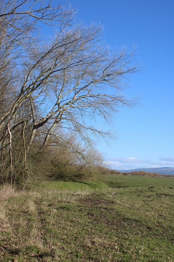Pilling Marsh from Pilling Amenity Area Stock Image - Image of marsh ...
