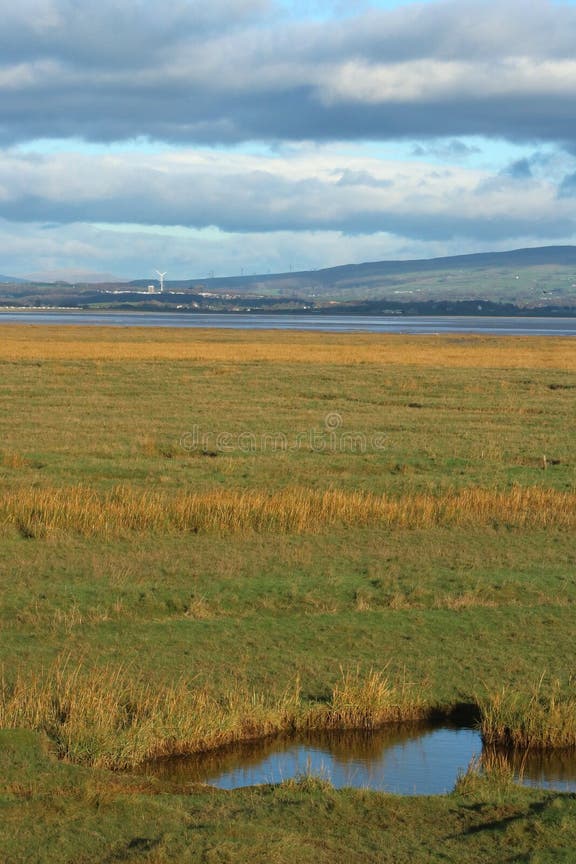 Pilling Marsh Cockerham Sands Lancaster Uni Stock Image - Image of ...