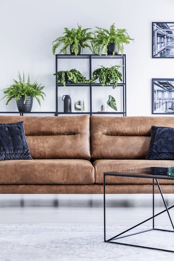 Modern front room stock image. Image of interior, fashion - 51636501