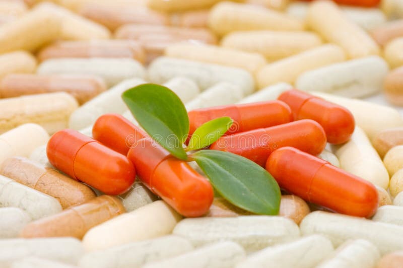 Green Sprout Growing From Soil Stock Image - Image of environmental ...