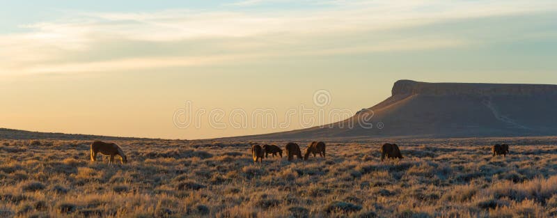 Pilot Butte, Wyoming stock image. Image of background - 94256169