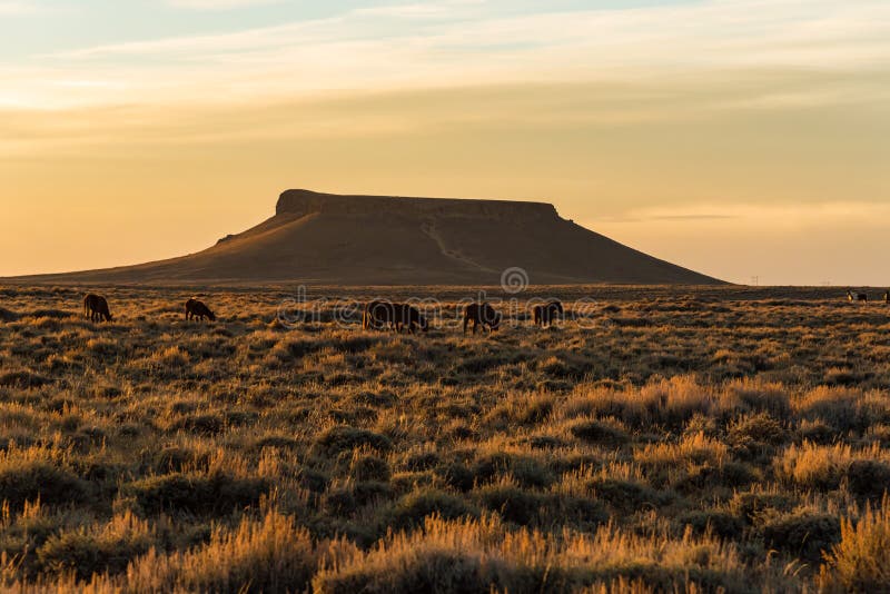 Famous Geothermal Rocks in Wyoming Stock Photo - Image of natural ...