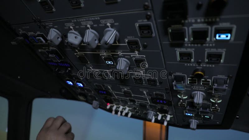 A Pilot Operating the Airplane in a Realistic Approach and Landing ...