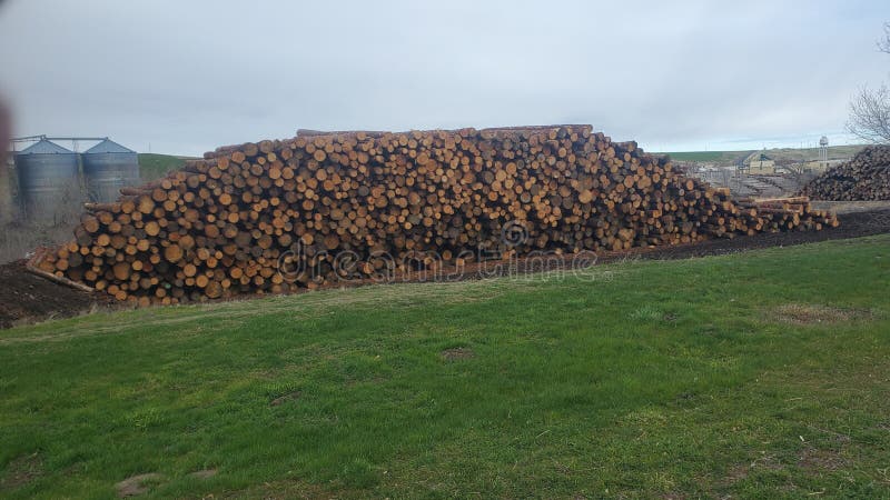Pilot Rock Logs stock photo. Image of wall, field, shrub - 245766170