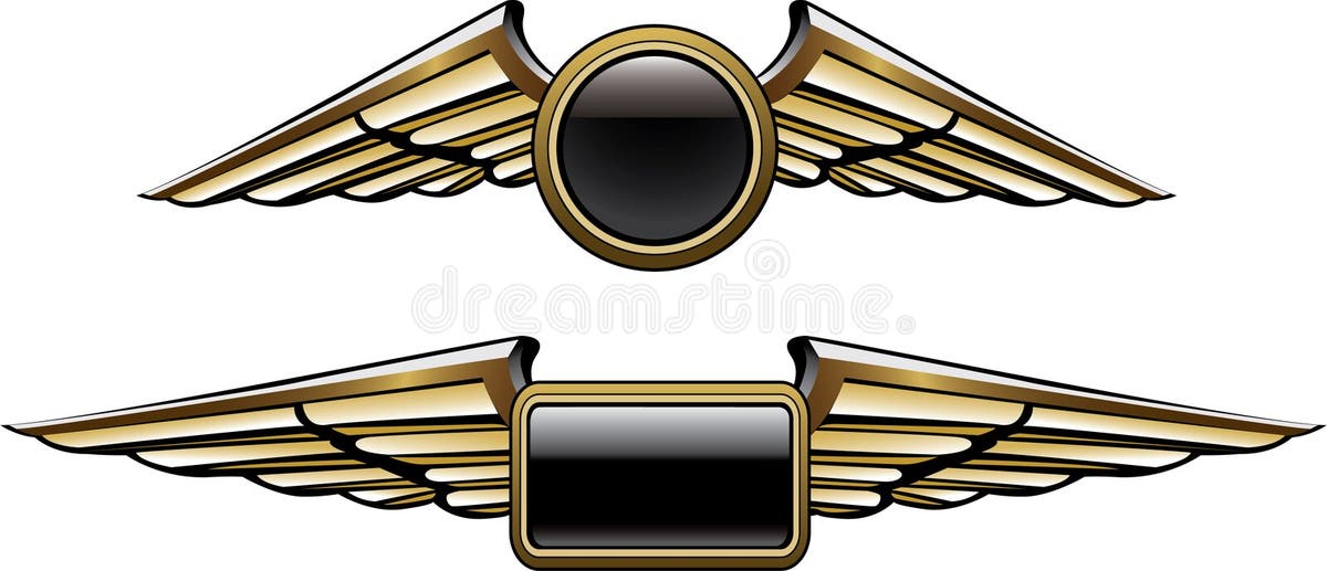Gold Pilot Wing Stock Illustrations – 212 Gold Pilot Wing Stock ...