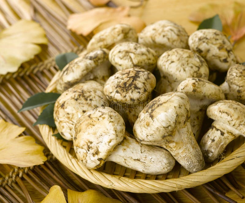 Beschaffenheit Von Den Trockenen Schwarzen Chinesischen Pilzen ...