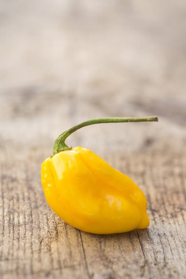 Piment Jaune Frais Simple De Habanero Image stock - Image du ...
