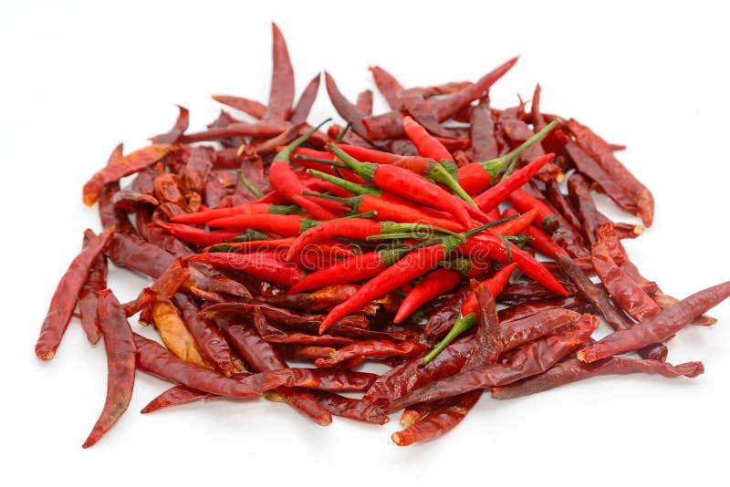 Usine De Poivre De Piment Rouge Image stock - Image du paprika, épicé ...