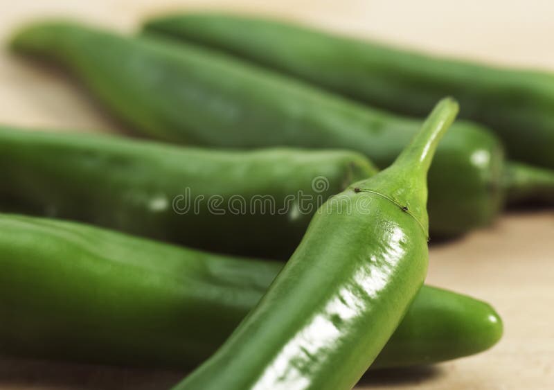 PIMENT VERT stock photo. Image of capsicum, green, plant - 173366132