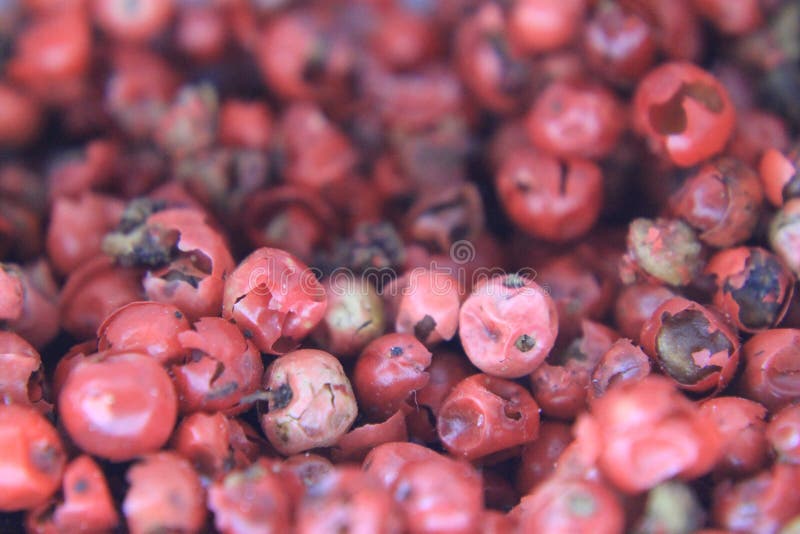 Pimenta cor-de-rosa imagem de stock. Imagem de tempero - 101543947