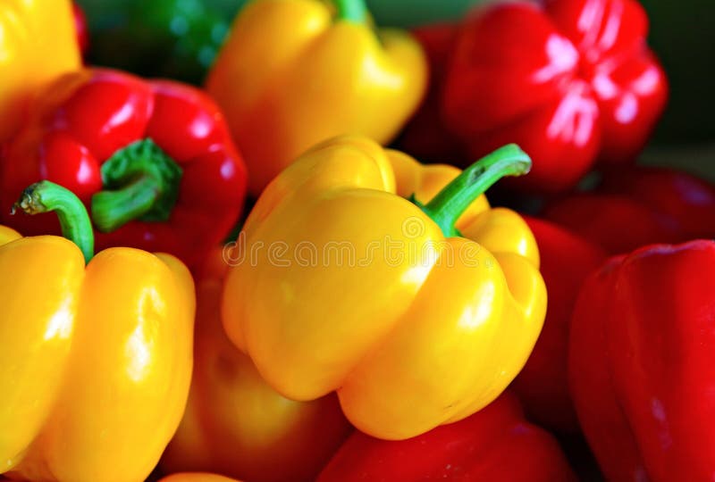 Pimenta doce orgânica foto de stock. Imagem de brilhante - 19817224