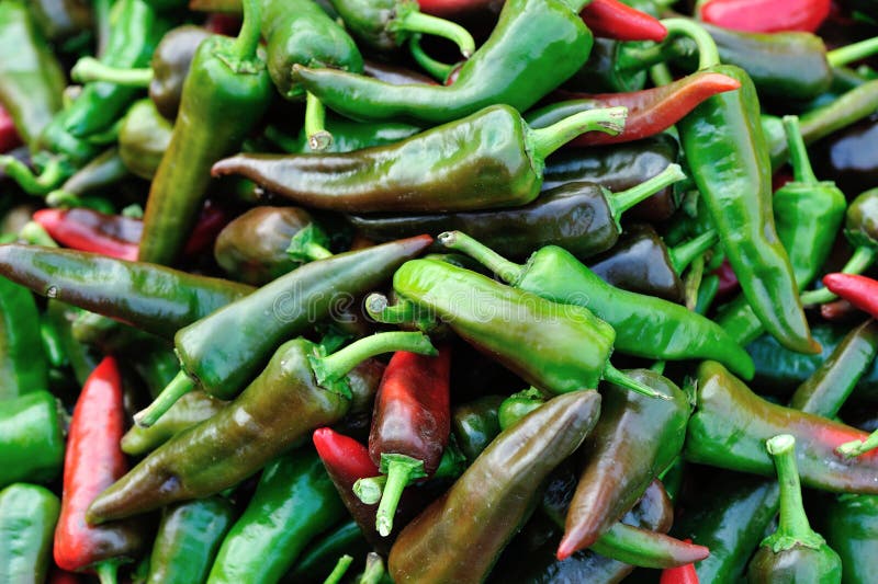Pimenta Fresca Vermelha E Verde Foto de Stock - Imagem de vegetal ...