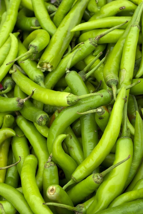 Pimento verde foto de stock. Imagem de escocês, verde - 22369246
