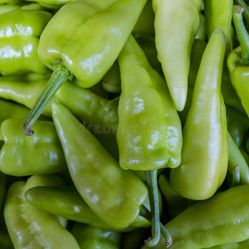 Pimenta verde foto de stock. Imagem de frescor, calor - 33712040