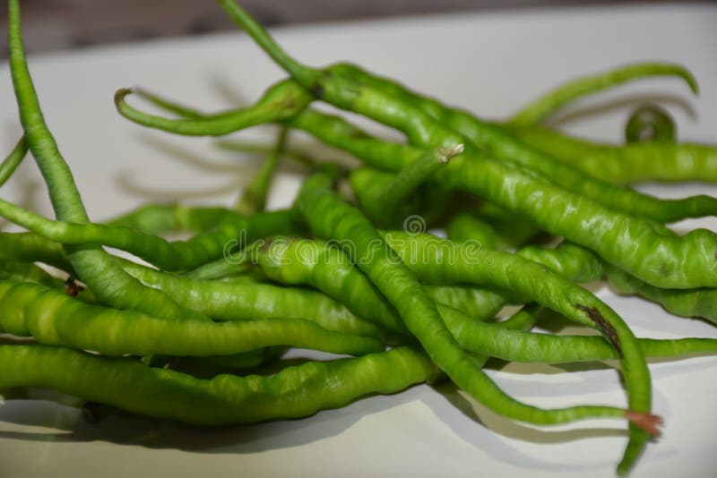 Pimenta verde imagem de stock. Imagem de isolado, pimenta - 98839473