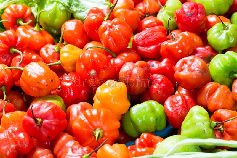 Pimentas De Pimentão Peruanas De Rocoto Imagem de Stock - Imagem de ...