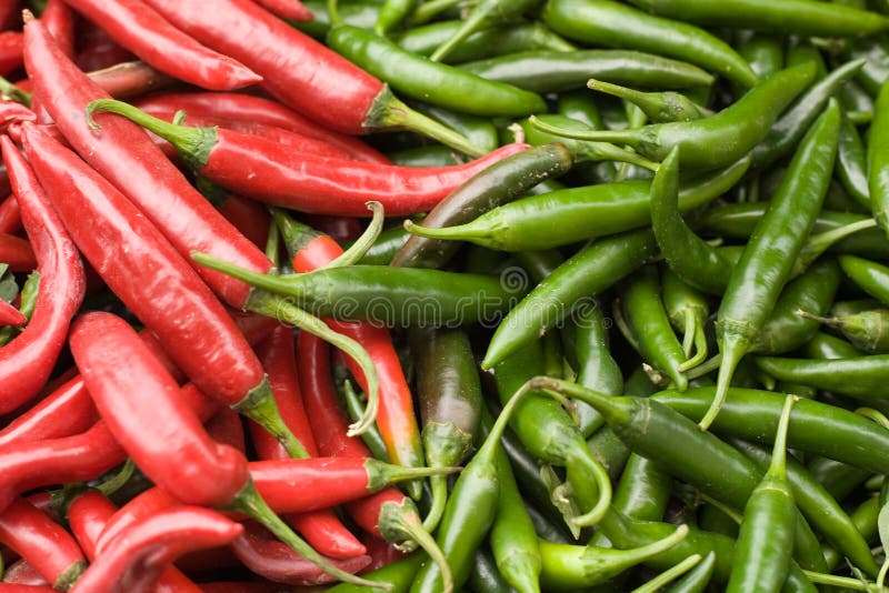 Pimentas de pimentões imagem de stock. Imagem de orgânico - 10989677