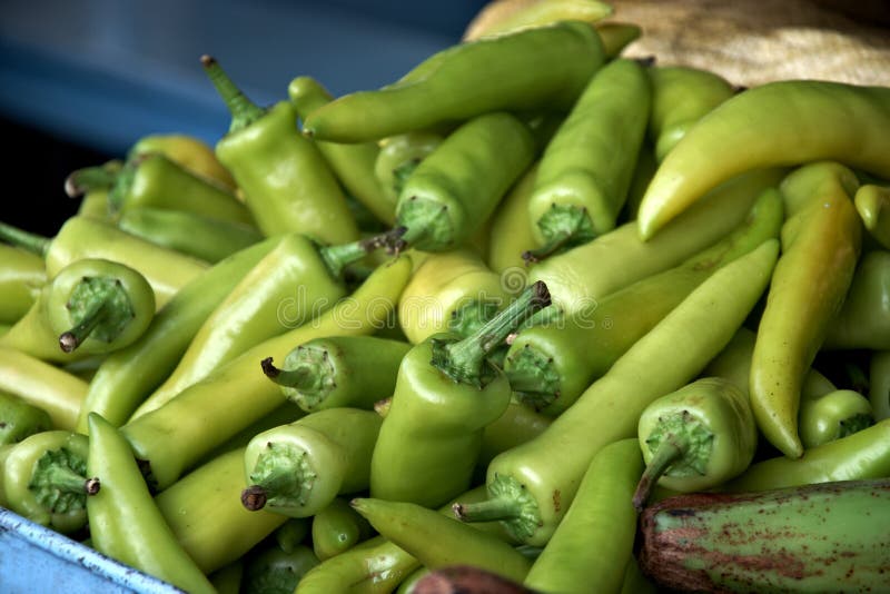Pimentas verdes foto de stock. Imagem de vegetal, filial - 24901430