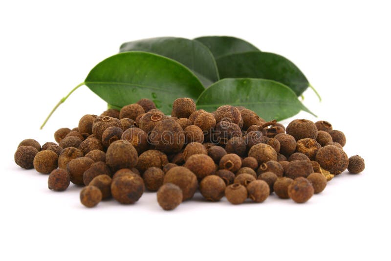 Spice pimento stock image. Image of grain, taste, spices - 10238635