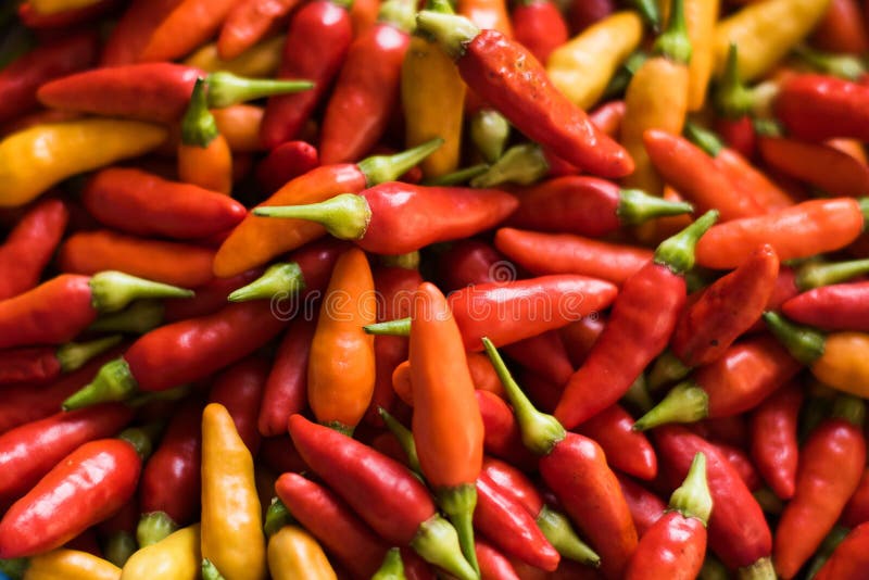 Pimentas Mexicanas Quentes De Serrano Do Habanero Do Pimentão Foto de ...