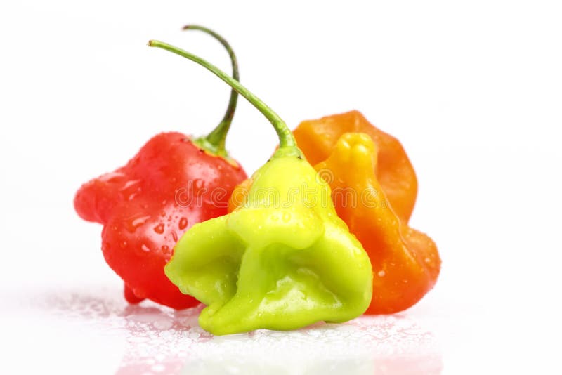 304 Pimentos Pequenos Fotos - Fotos de Stock Gratuitas e Fotos Royalty ...