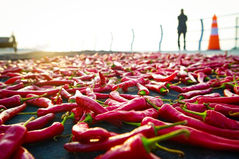 Piments rouges image stock. Image of épicé, cuillère - 58620989