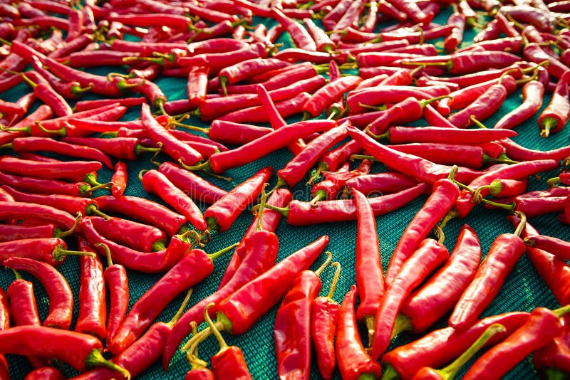 Piments rouges image stock. Image du couleur, rouge, vert - 58644473
