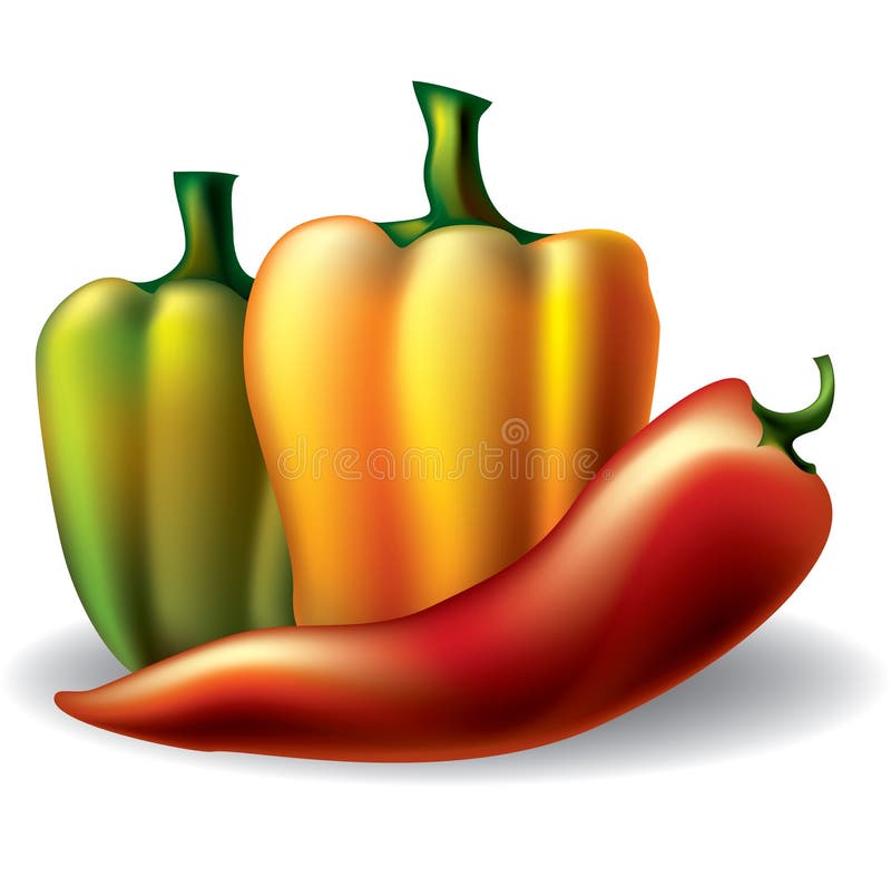 Pimienta ilustración del vector. Ilustración de pimienta - 10923897