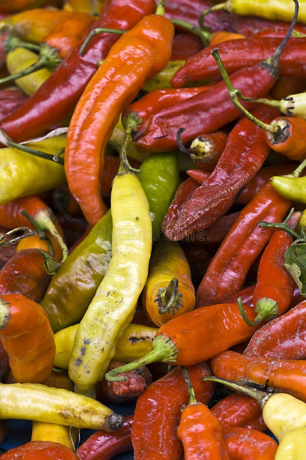 Pimientas calientes imagen de archivo. Imagen de ardientemente - 10458155