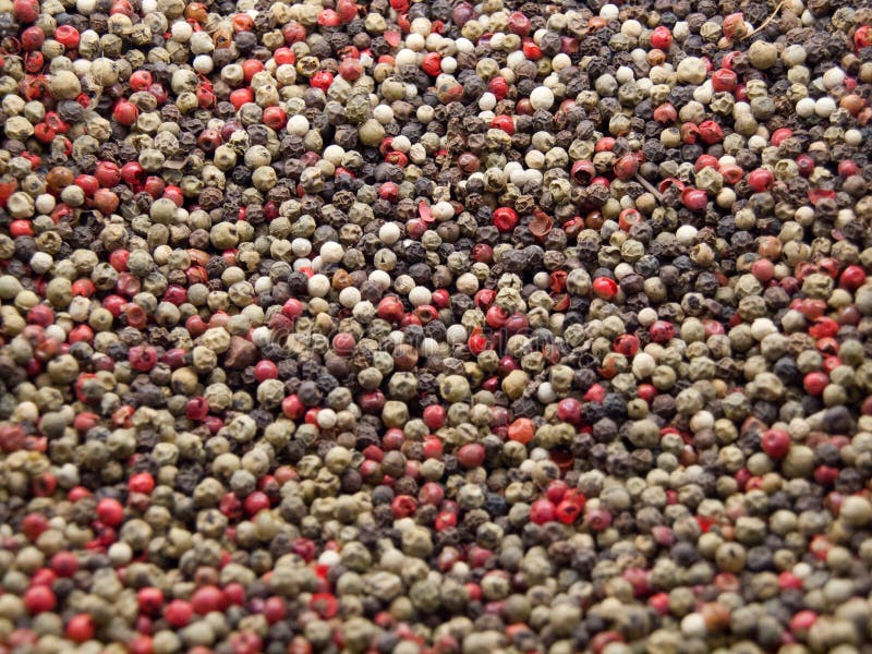 Pimientas coloreadas foto de archivo. Imagen de pimientas - 17302746