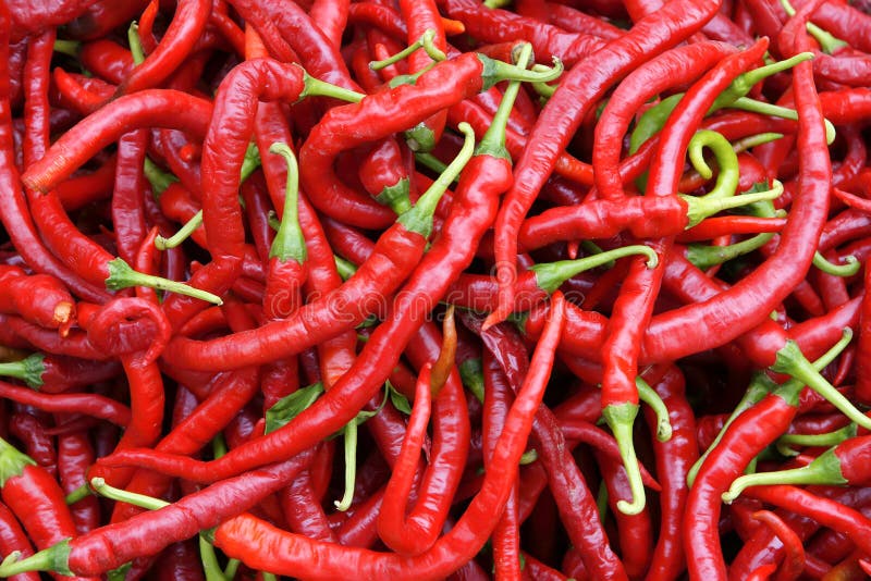 Pimiento morrón rojo foto de archivo. Imagen de cierre - 20851590