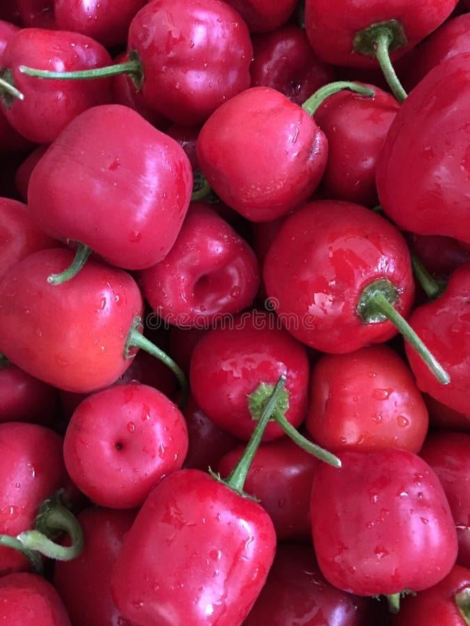 Pimiento Picante De Los Peruvian De Rocoto Foto de archivo - Imagen de ...